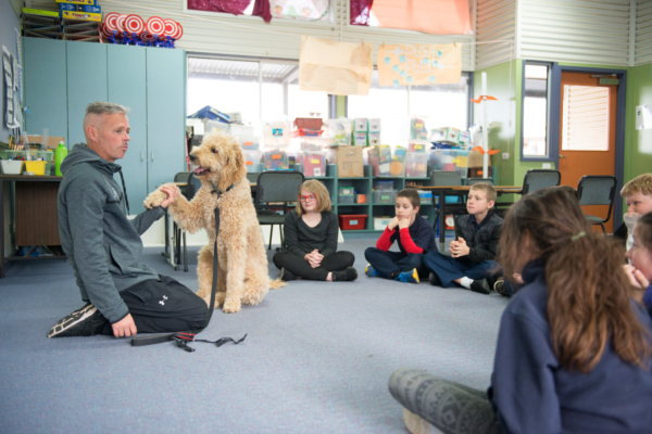 Enhancing Learning with a Wellbeing Dog - Dogs Connect